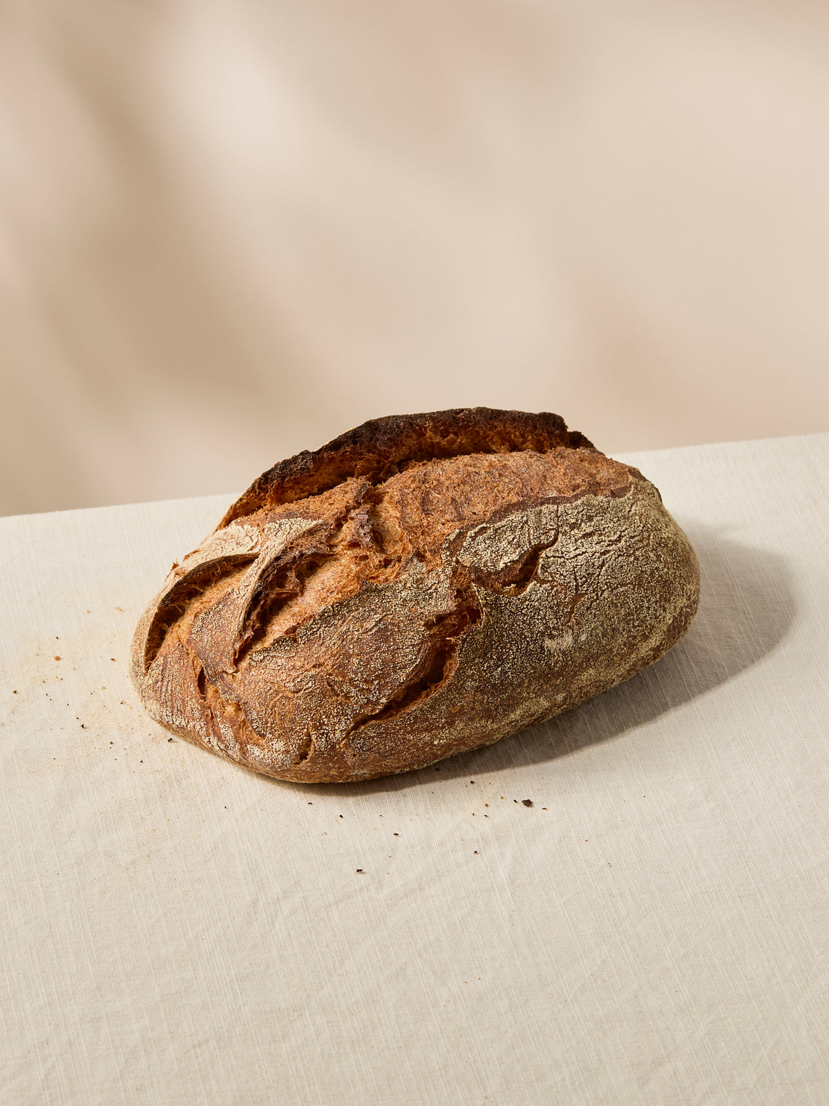 Waste-Less Sourdough Loaf | Waste Not Range | GAIL's Bakery